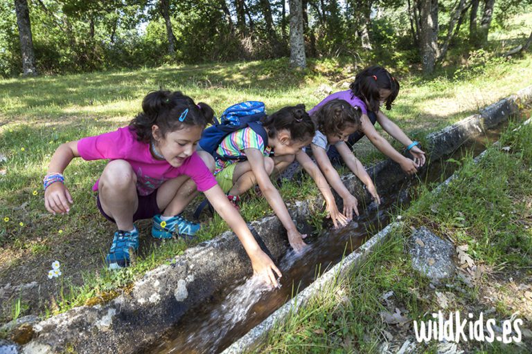 Jugar en la naturaleza: clave para las excursiones con niños
